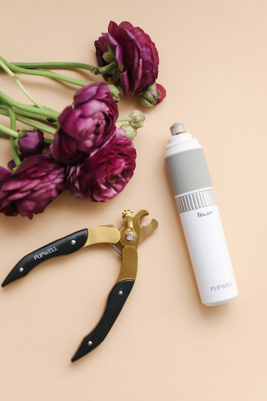 Pupwell | Dog Grooming Made Easy