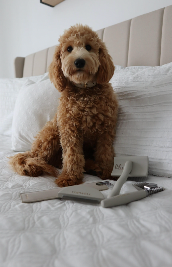 Pupwell | Dog Grooming Made Easy
