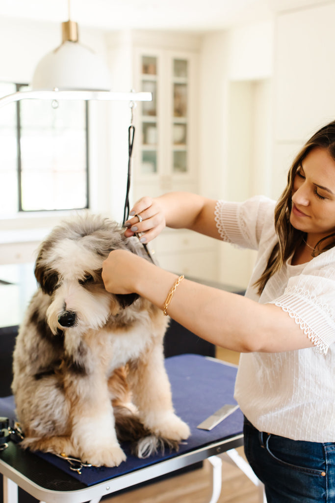 Pupwell | Dog Grooming Made Easy
