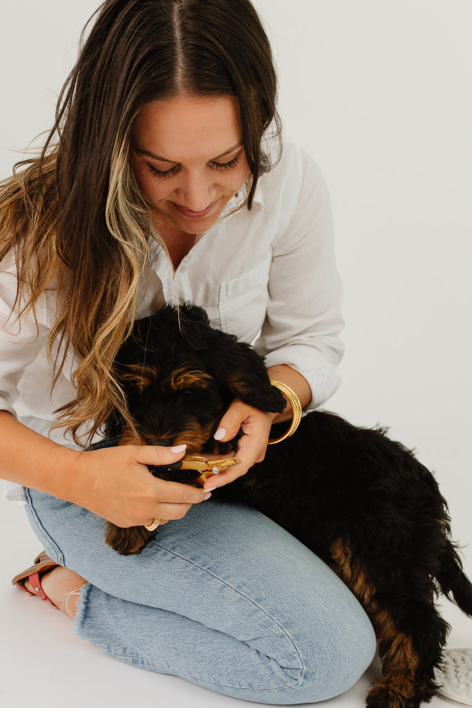Pupwell | Dog Grooming Made Easy