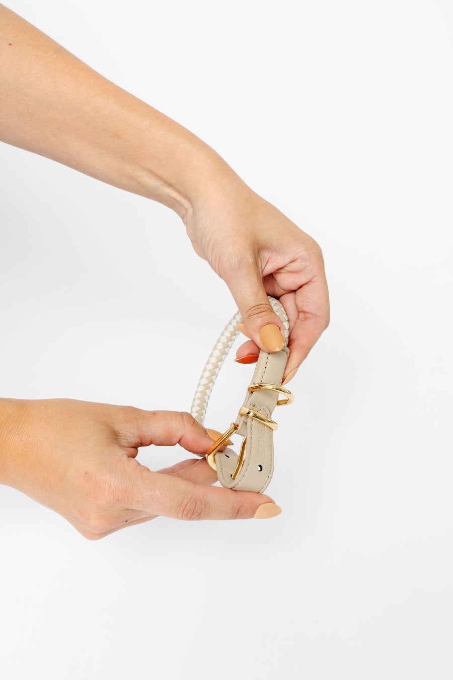 Rolled Collar – Pupwell