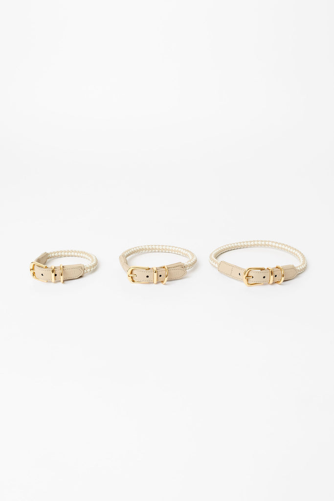 Rolled Collar – Pupwell