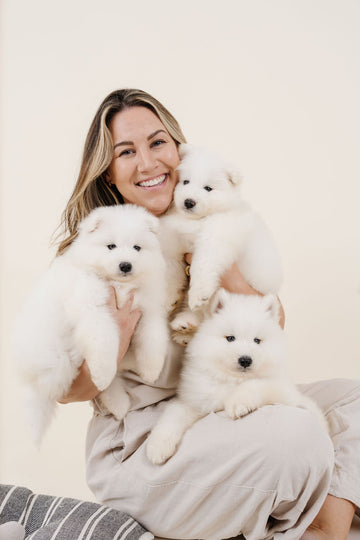 Ultimate Dog Grooming Course – Pupwell