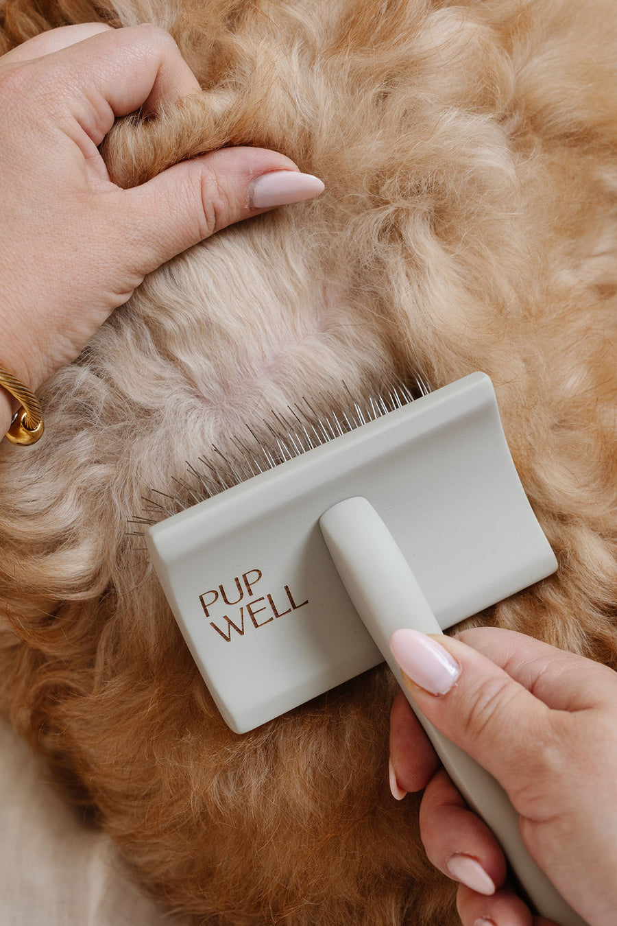 Ultimate Dog Grooming Kit – Pupwell