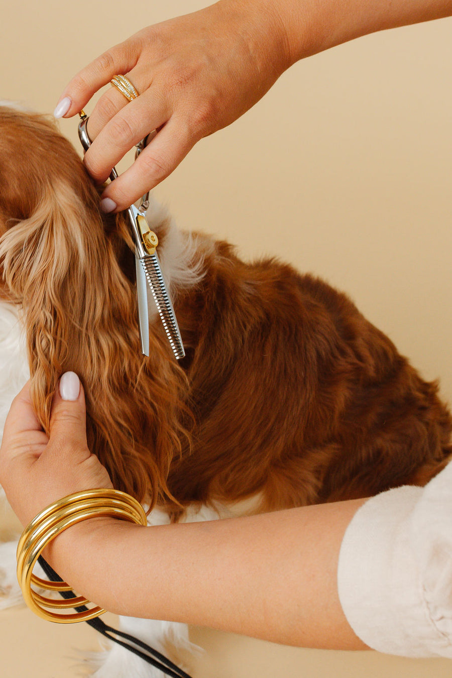 Ultimate Dog Grooming Course – Pupwell