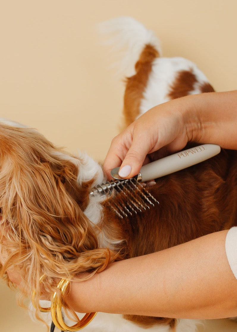 Ultimate Dog Grooming Course – Pupwell