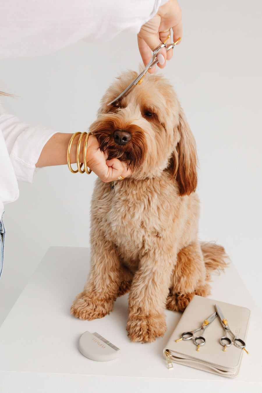 Ultimate Dog Grooming Course – Pupwell