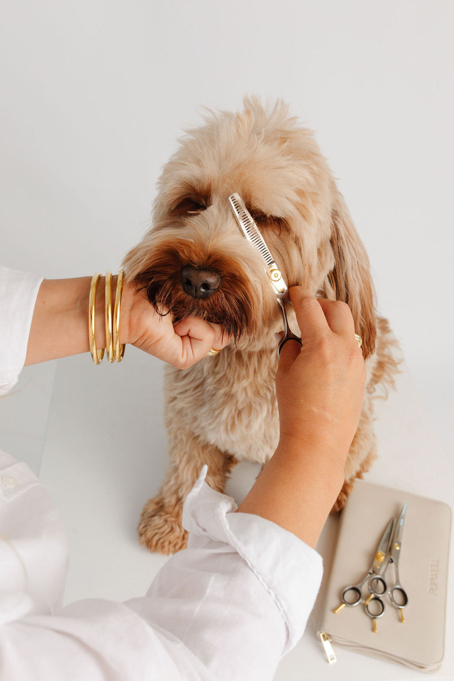 Ultimate Dog Grooming Course – Pupwell