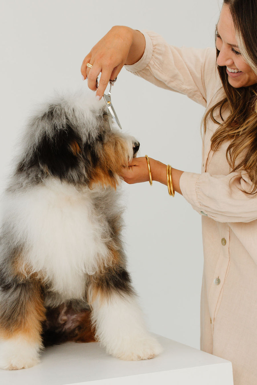Ultimate Dog Grooming Course – Pupwell